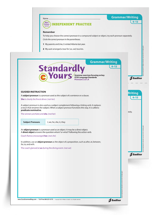 Pronoun Practice Activity for Students, Grades 6–12