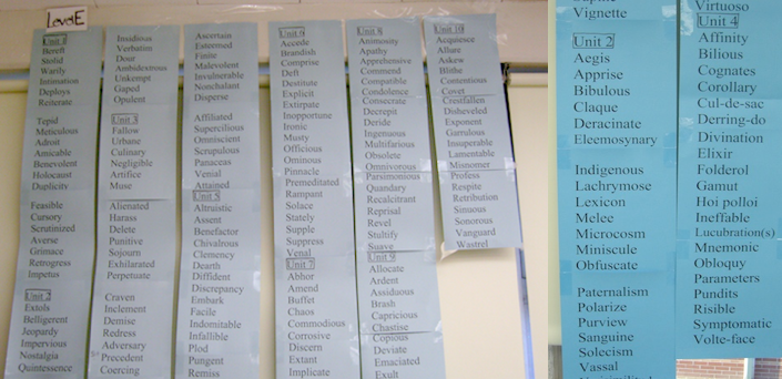 Vocabulary Practice: The Writing on the Classroom Walls