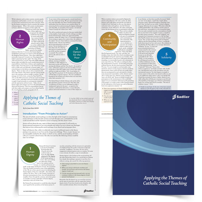 Applying the Themes of Catholic Social Teaching eBook