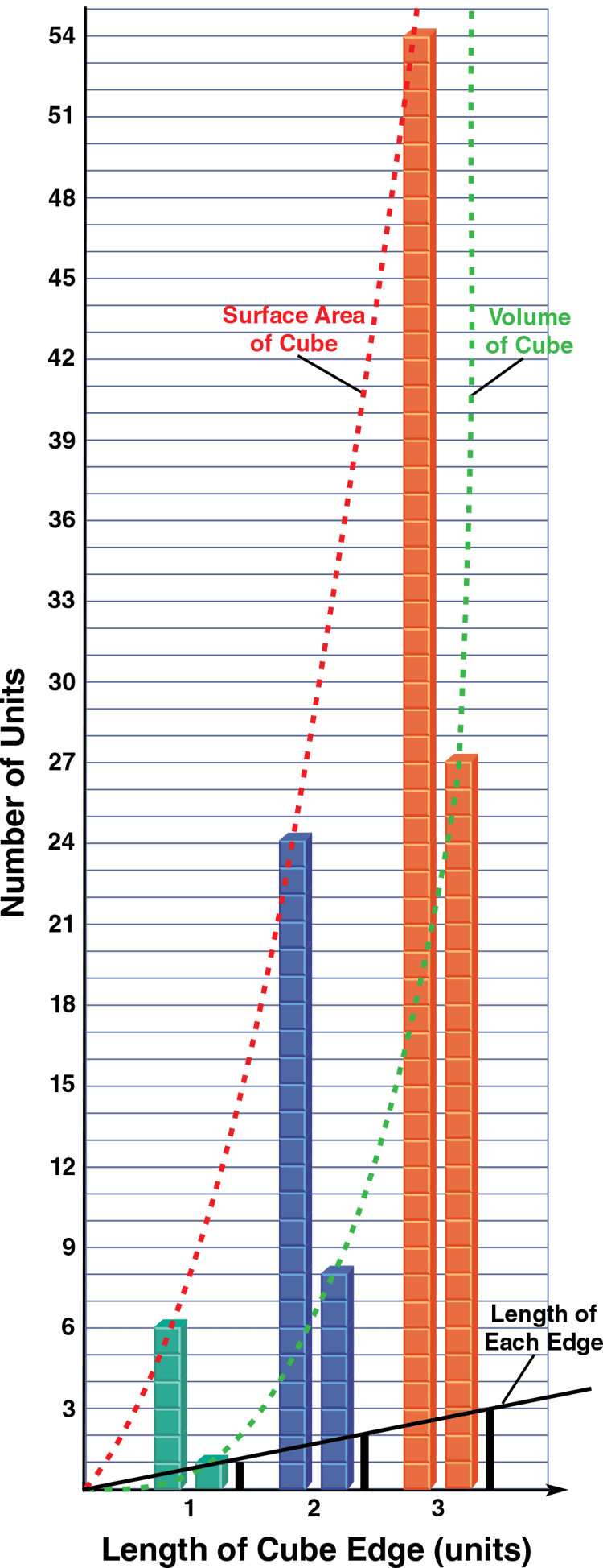 7th Grade Math Activities and Games | Sadlier School