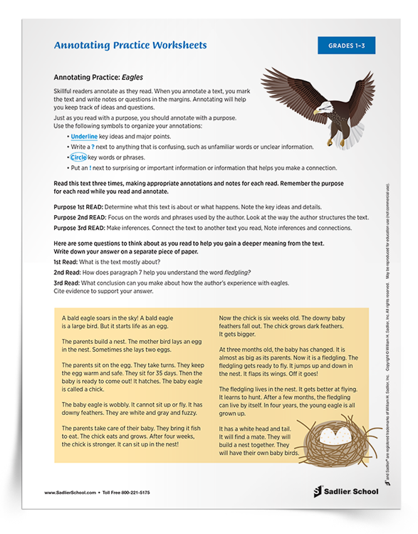 Close Reading Worksheets for Elementary Students [8 Printable Resources]