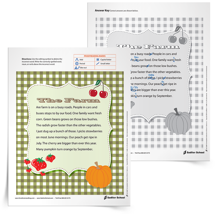 Recognize and Editing Errors in a Summer Story, Grades 3–5