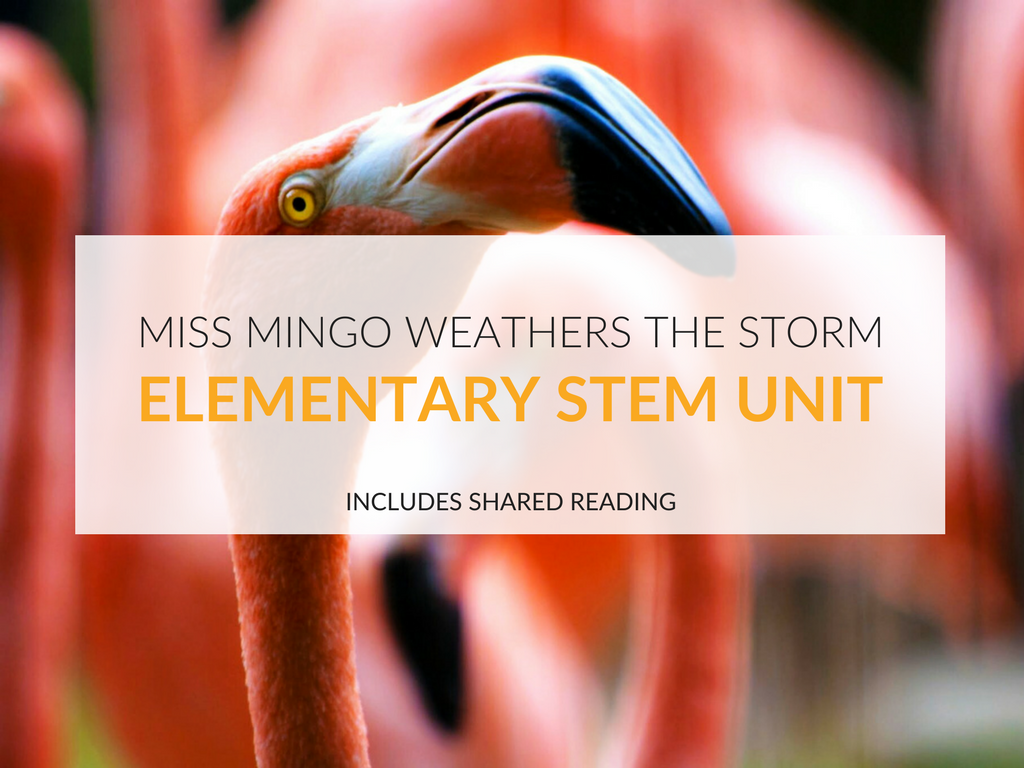 Elementary STEM Unit Your Students Will Love– Includes Shared Reading