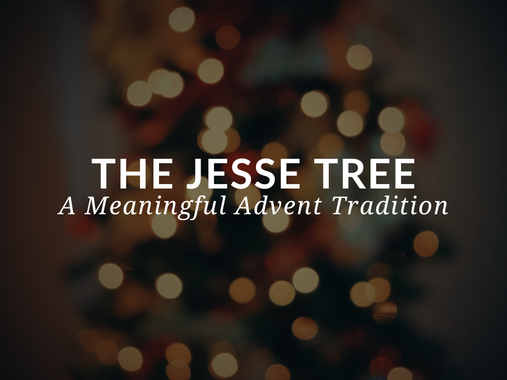The Jesse Tree: A Meaningful Advent Tradition for Catholic Kids and ...