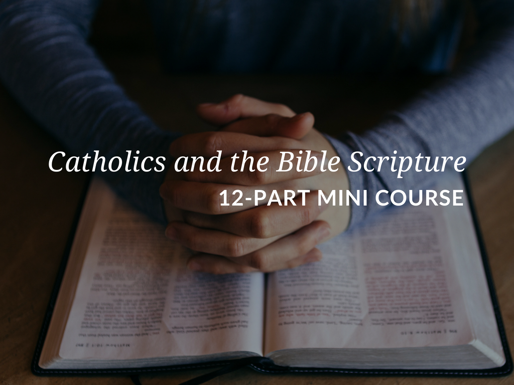Catholics and the Bible – Free Scripture Course for Adults & Catechist ...