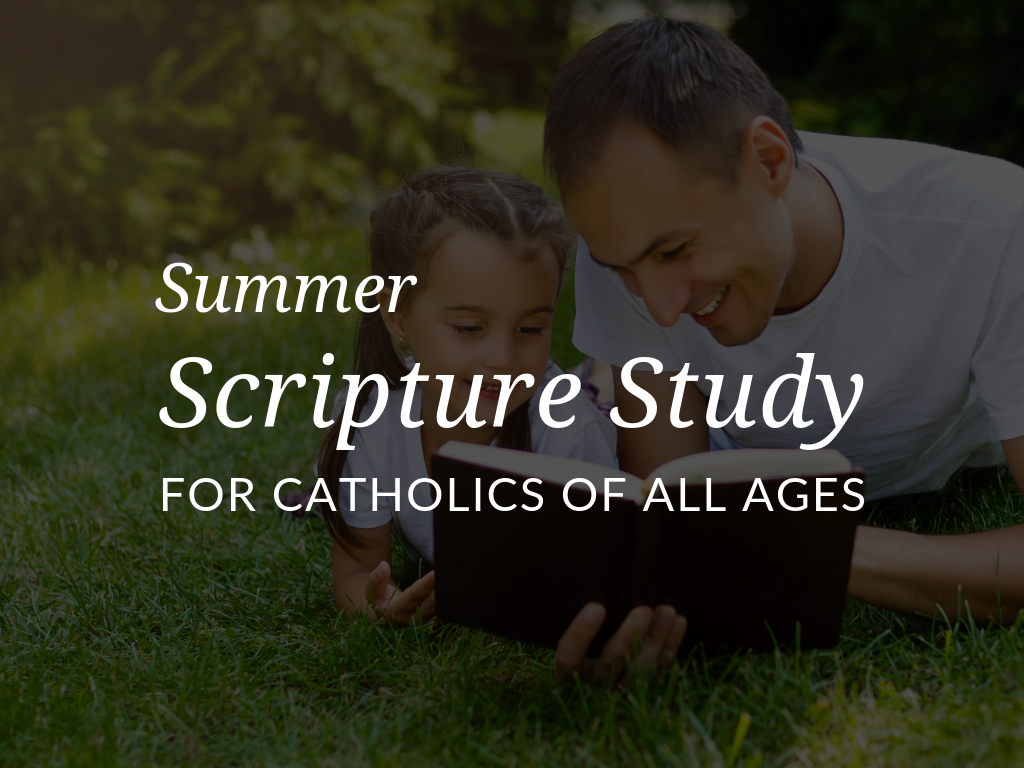 Summer Scripture Study for Catholics of All Ages
