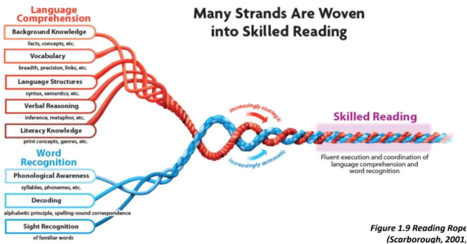 Increase Reading Comprehension by Building Word Knowledge