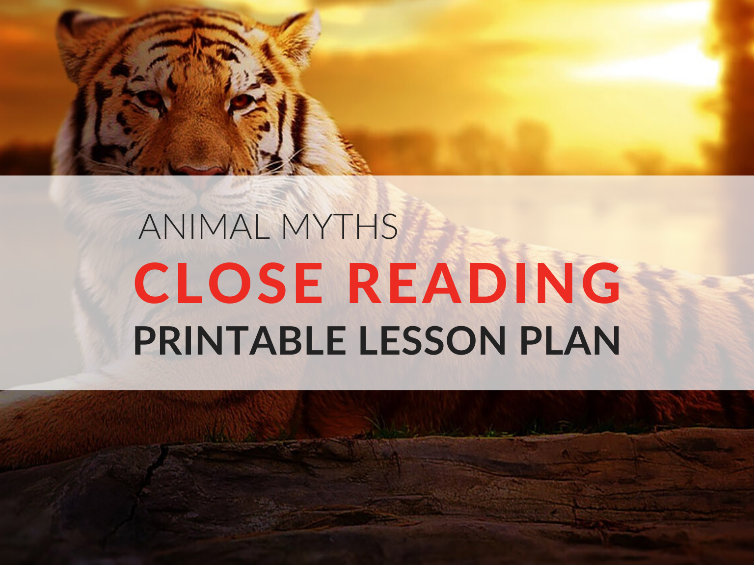 Fun Animal Myths Close Reading Lesson Plan, Grades 4+