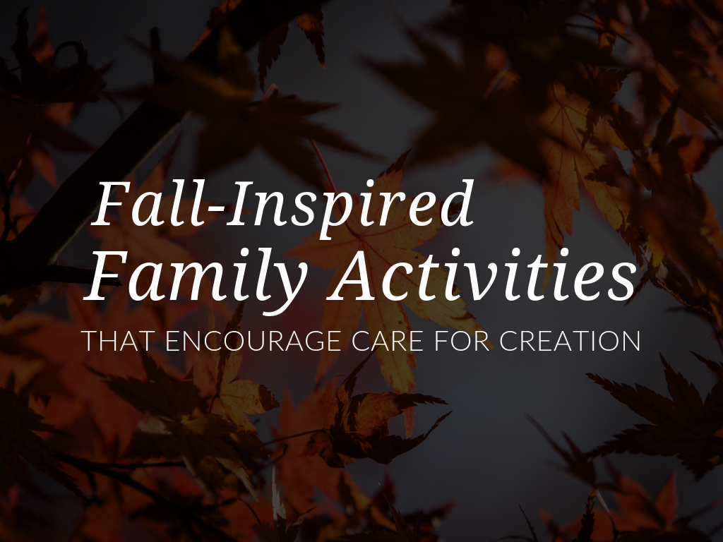 Fun Fall Activities for Families that Celebrate God's Creation